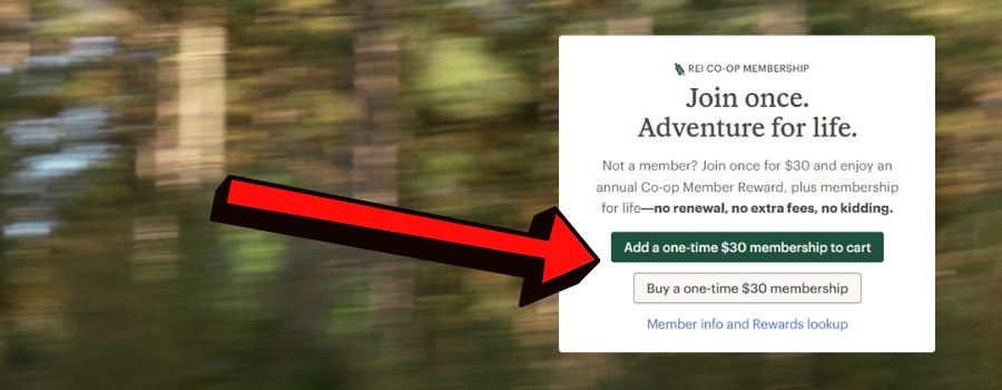 REI Co-op Lifetime Membership: Unveiling a World of Outdoor Perks with ...